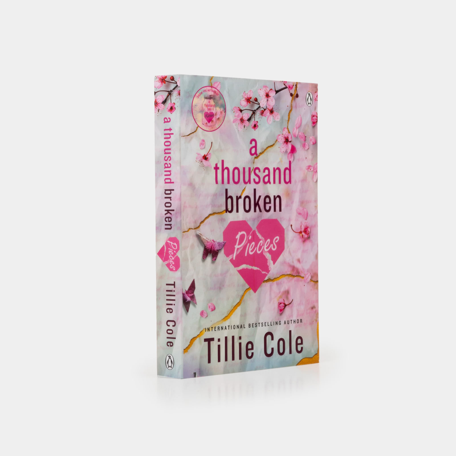 A Thousand Broken Pieces