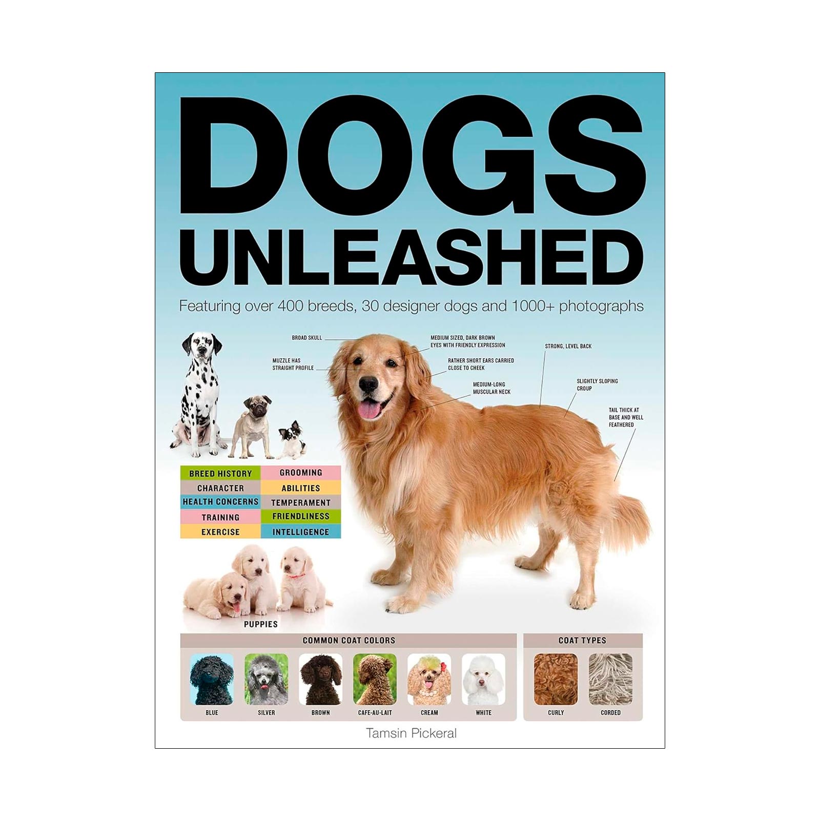 Dogs unleashed